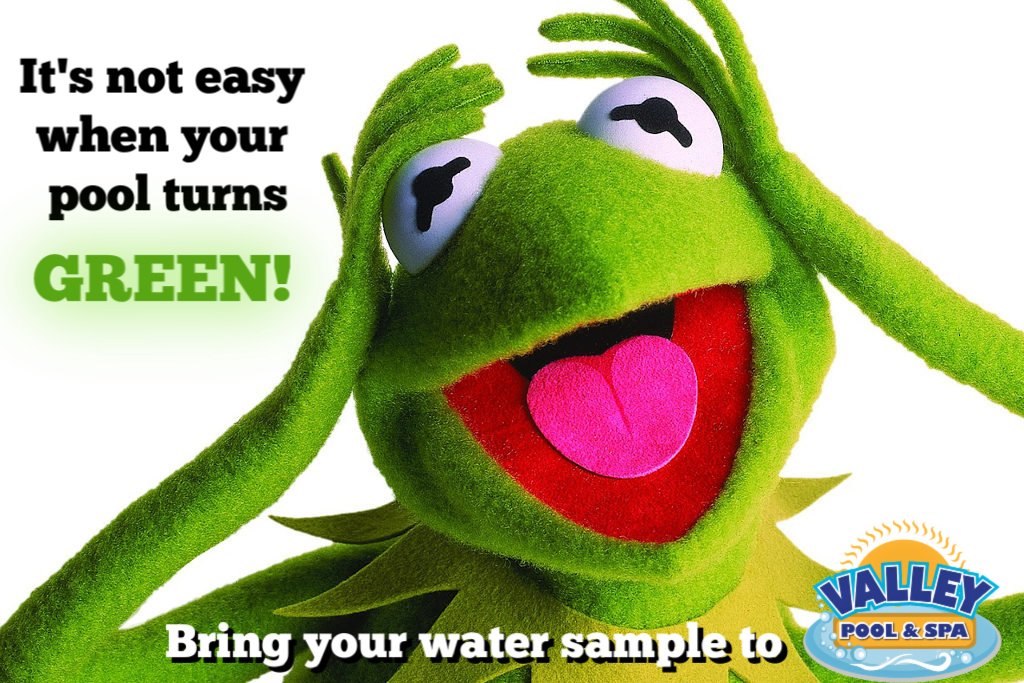 When Your Pool Turns Green- Pool Care Tips - Valley Pool & Spa - Pool ...
